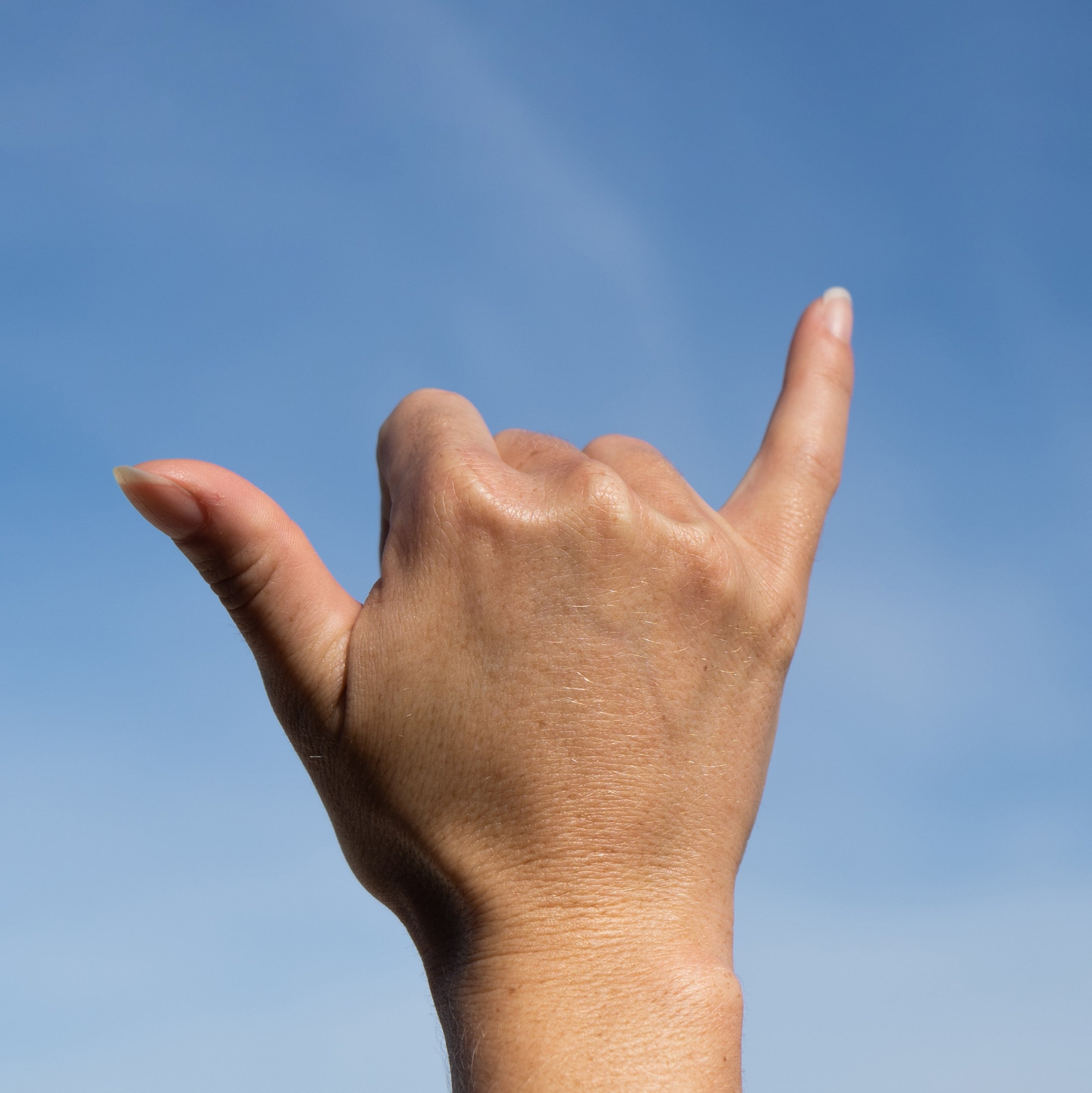 Meet the PV Operations Team