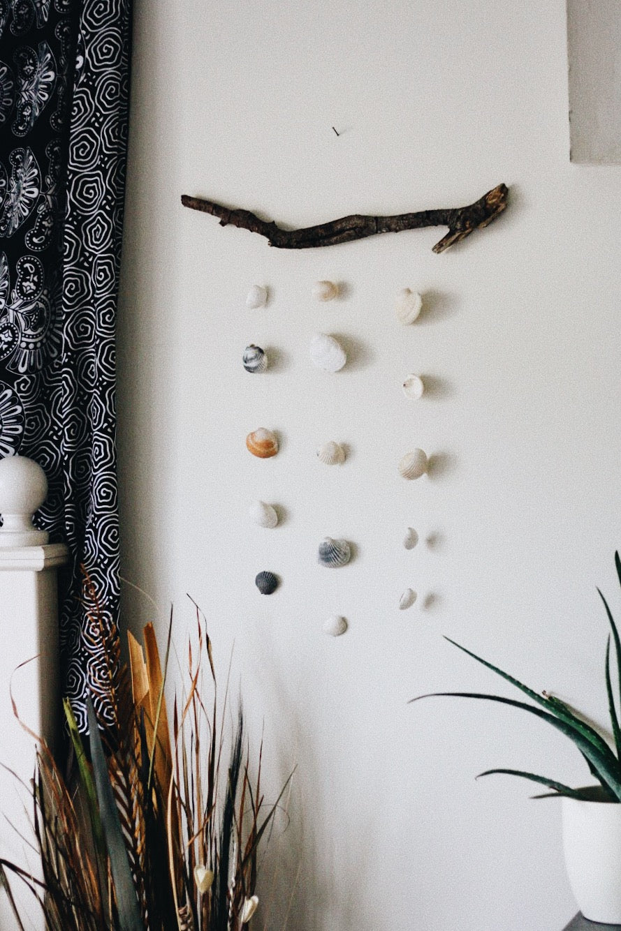 Seashell wall hanging