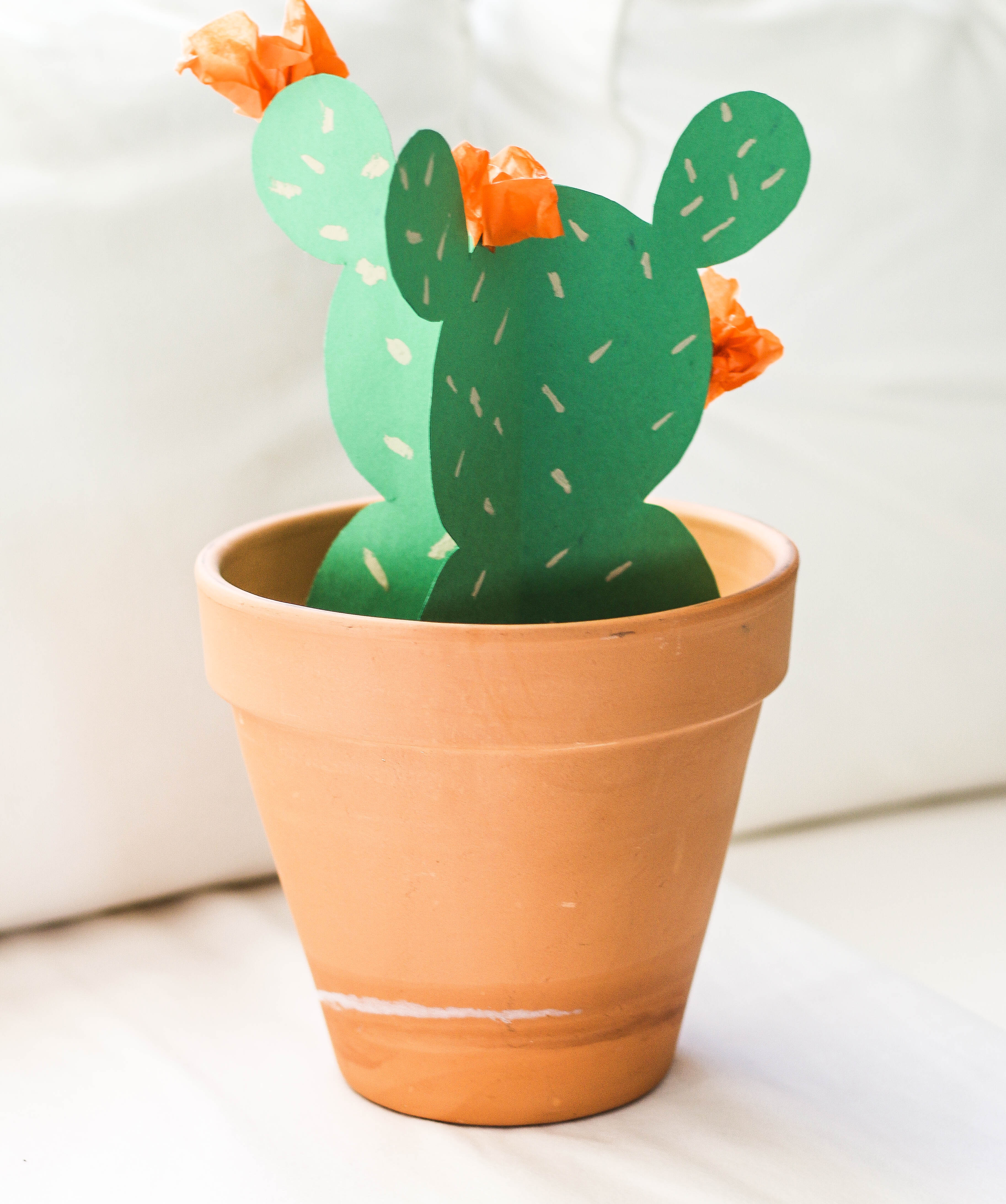 Paper Cactus
