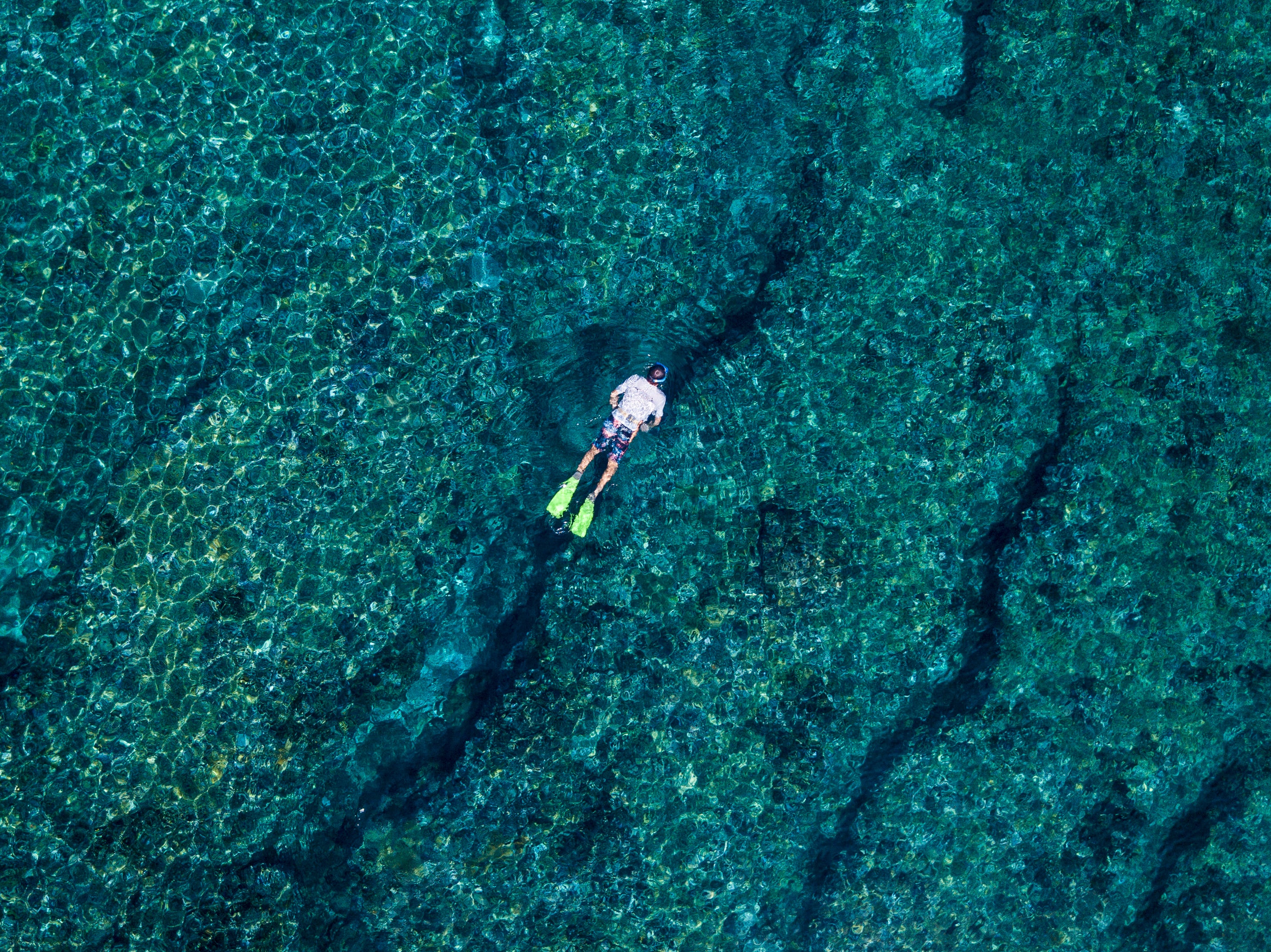 3 Ways to Protect Our Oceans & Marine Life